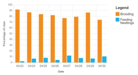 Situations Over Time – Bird Cams Lab