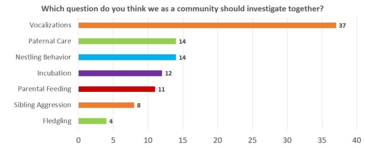 Final Hawk Talk Report – Bird Cams Lab
