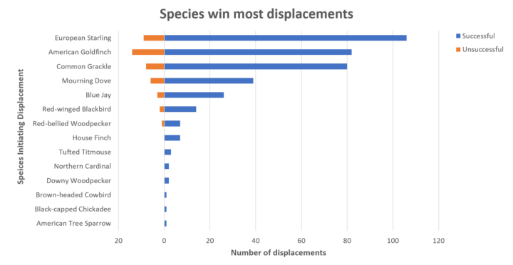 Results are in for Battling Birds! – Bird Cams Lab