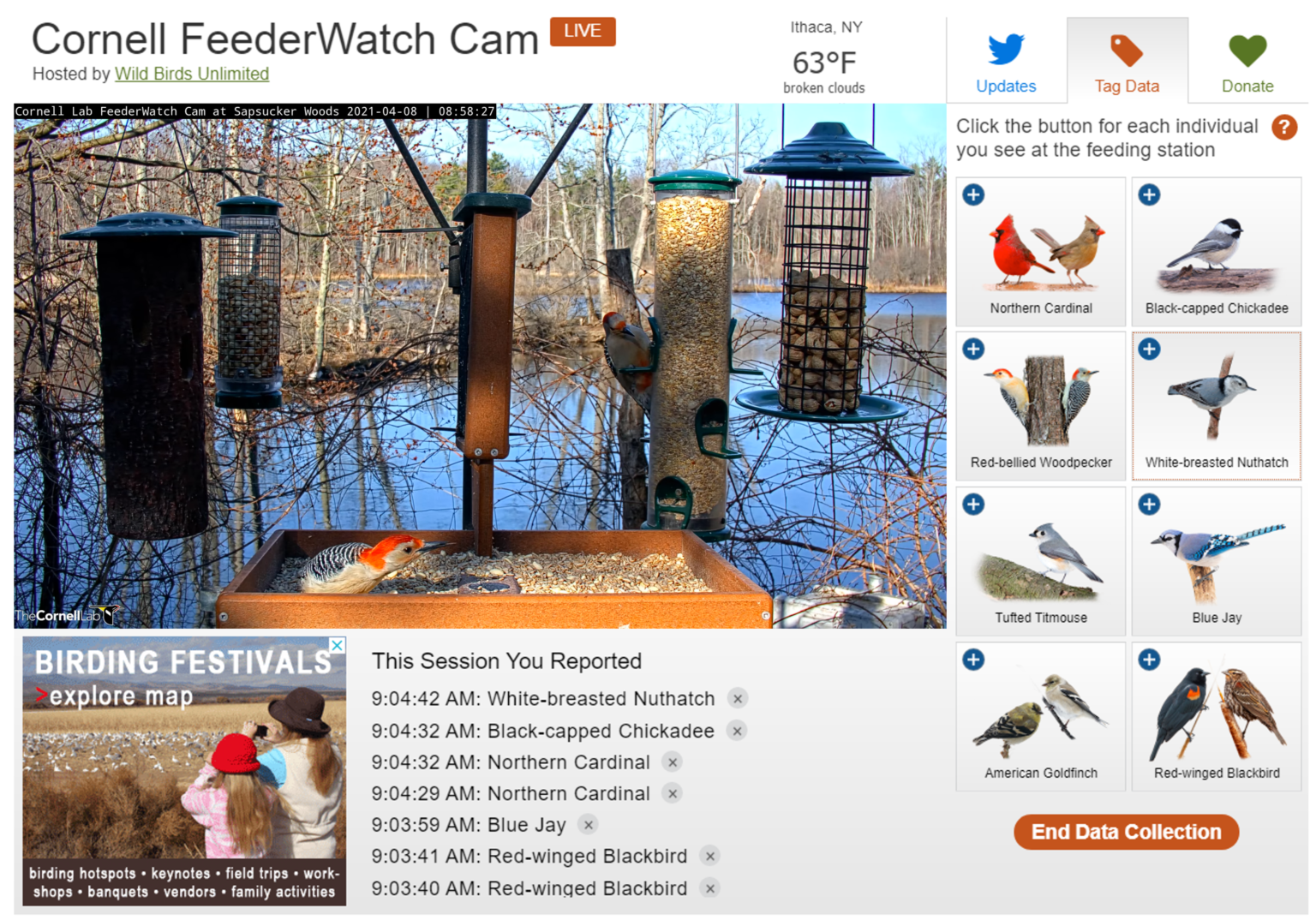 Bird Cams Lab