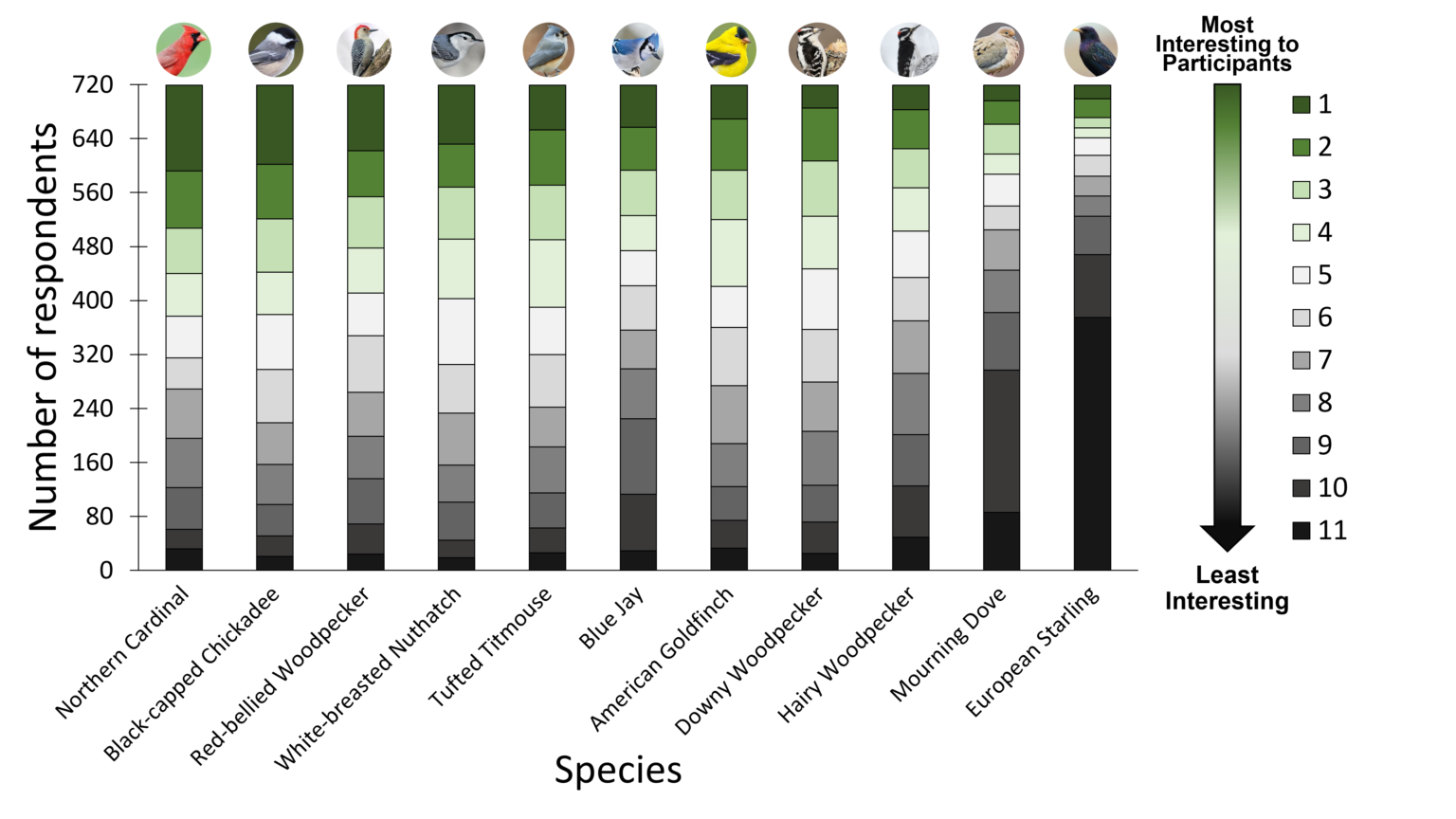 Cornell Feeders Live Final Report : Bird Cams Lab